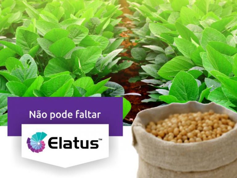Elatus, o Fungicida contra a ferrugem e as doenças da soja. – Imacol